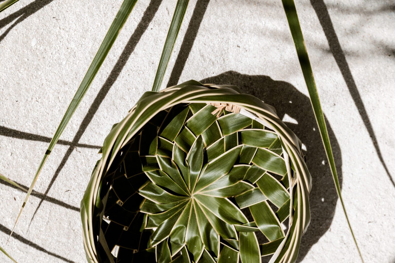 Polynesian art & Culture - The Brando