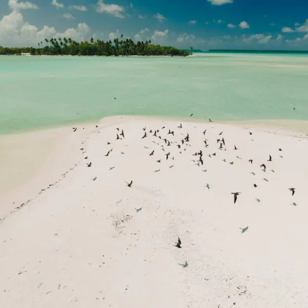 Destination Resort Experiences | French Polynesia Island Vacation